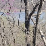 Perry Lake Hiking Trail, Kansas - 110 Reviews, Map | AllTrails