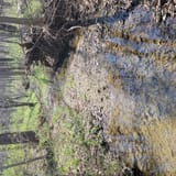 Perry Lake Hiking Trail, Kansas - 110 Reviews, Map | AllTrails