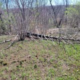 Perry Lake Hiking Trail, Kansas - 110 Reviews, Map | AllTrails