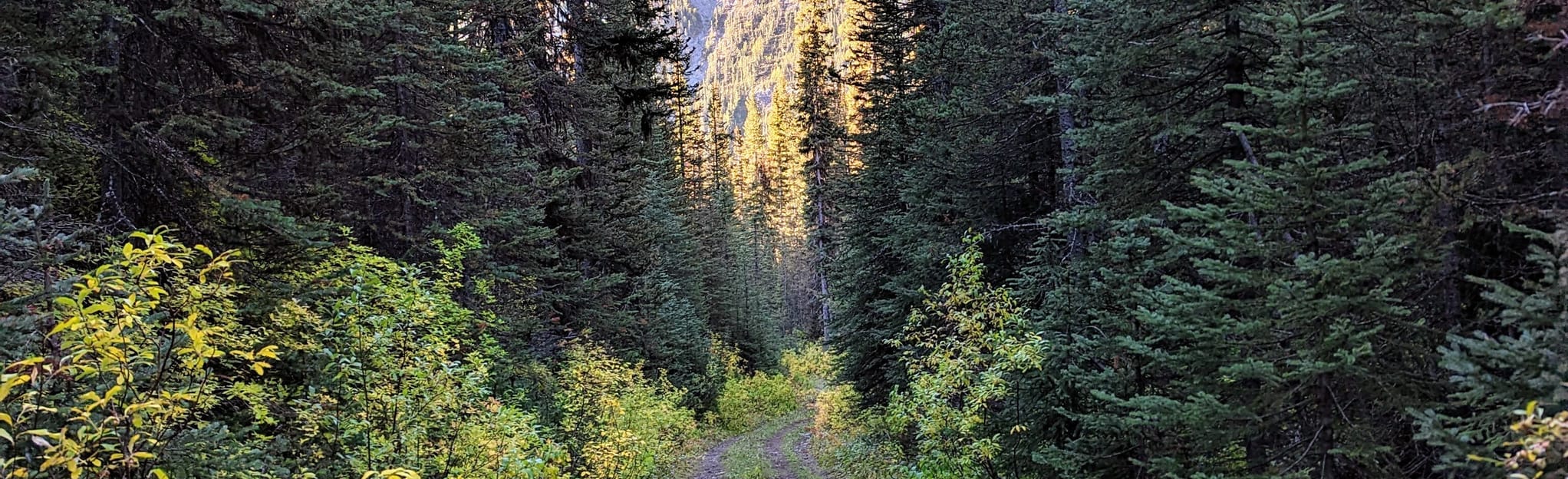 Frost Heave Snowshoe, Alberta, Canada - 3 Reviews, Map | AllTrails