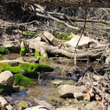 Perry Lake Hiking Trail, Kansas - 110 Reviews, Map | AllTrails