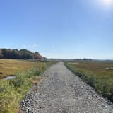 Barn Island Wildlife Management Area Trail, Connecticut - 594 Reviews ...