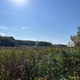 Barn Island Wildlife Management Area Trail, Connecticut - 594 Reviews ...