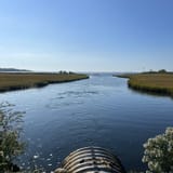 Barn Island Wildlife Management Area Trail, Connecticut - 592 Reviews ...