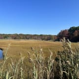 Barn Island Wildlife Management Area Trail, Connecticut - 594 Reviews ...