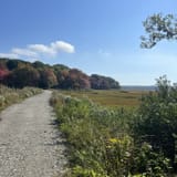 Barn Island Wildlife Management Area Trail, Connecticut - 592 Reviews ...