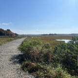 Barn Island Wildlife Management Area Trail, Connecticut - 594 Reviews ...