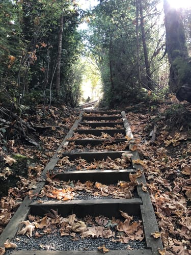 Best Hikes and Trails in Silvermine Trail | AllTrails