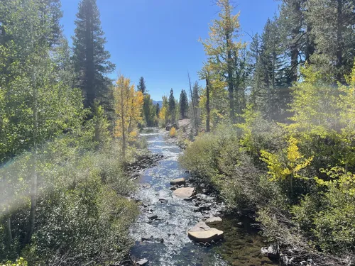 Best Forest Trails in Devils Postpile National Monument | AllTrails