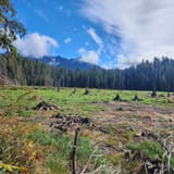 Irely Lake Trail, Washington - 125 Reviews, Map | AllTrails