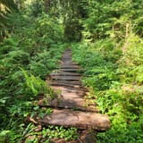 Irely Lake Trail, Washington - 125 Reviews, Map | AllTrails