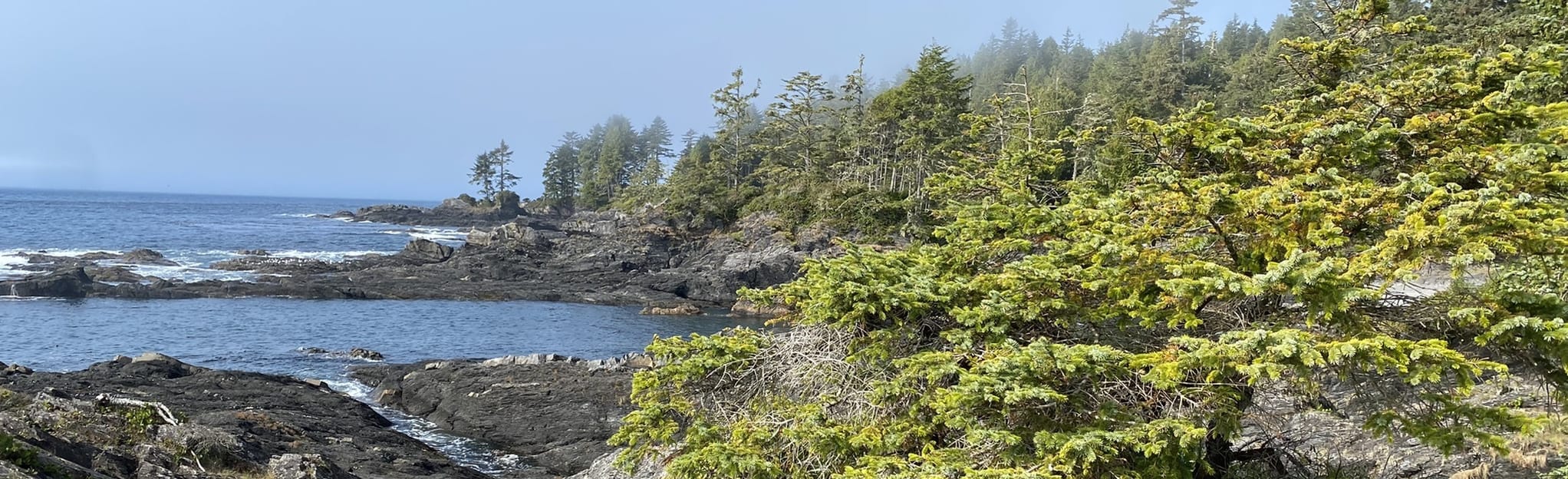 Botanical Beach Loop Trail: 558 Reviews, Map - British Columbia, Canada ...