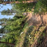 Red Grade Trails System, Wyoming - 110 Reviews, Map | AllTrails