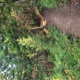 Red Grade Trails System, Wyoming - 110 Reviews, Map | AllTrails