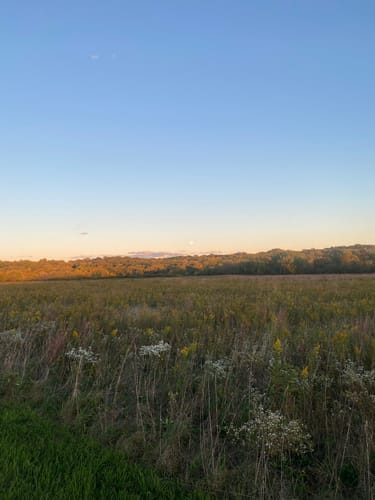 Best Hikes and Trails in Brunner Family Forest Preserve | AllTrails