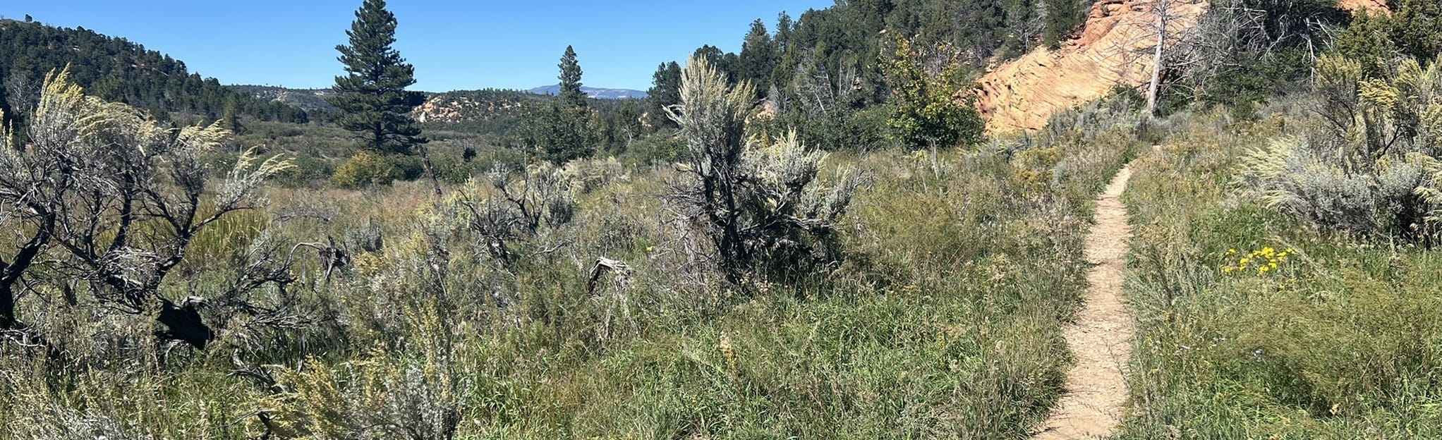 East Rim Trail, Utah - 163 Reviews, Map | AllTrails