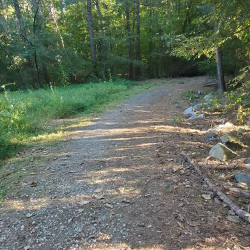 Best Hikes and Trails in Huntersville Athletic Park and Recreation ...