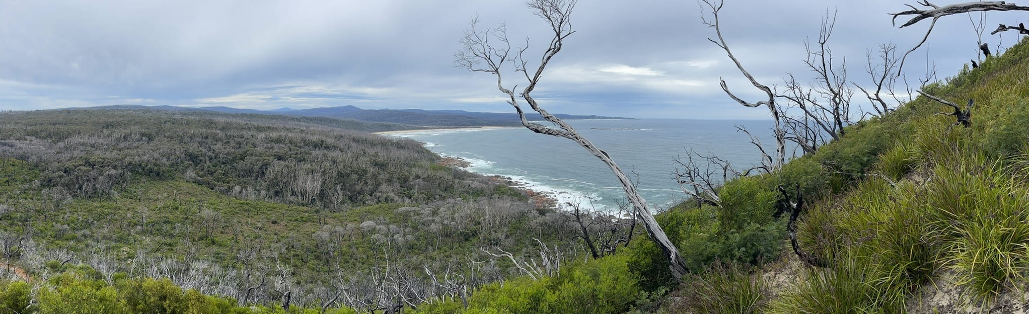Wingan Inlet and Fly Cove Walk, Victoria, Australia - 5 Reviews, Map ...