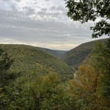 Tioga West Rim Trail, Pennsylvania - 495 Reviews, Map | AllTrails