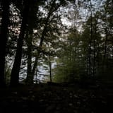 Tioga West Rim Trail, Pennsylvania - 499 Reviews, Map | AllTrails