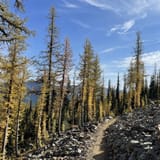 Grasshopper Pass via the PCT, Washington - 168 Reviews, Map | AllTrails