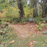 Irely Lake Trail, Washington - 125 Reviews, Map | AllTrails