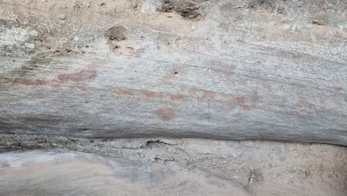 Best Bird Watching Trails in Matzikama NU | AllTrails