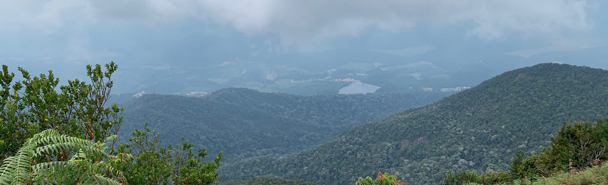 Gunung Ledang, Johor, Malaysia - 7 Reviews, Map | AllTrails
