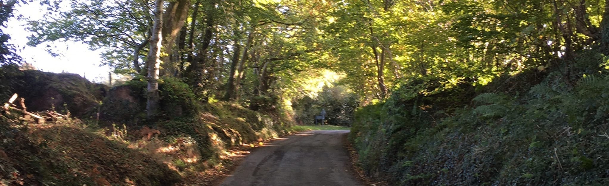 Cardinham and Millpool Circular: 3 foto's - Cornwall, Engeland | AllTrails
