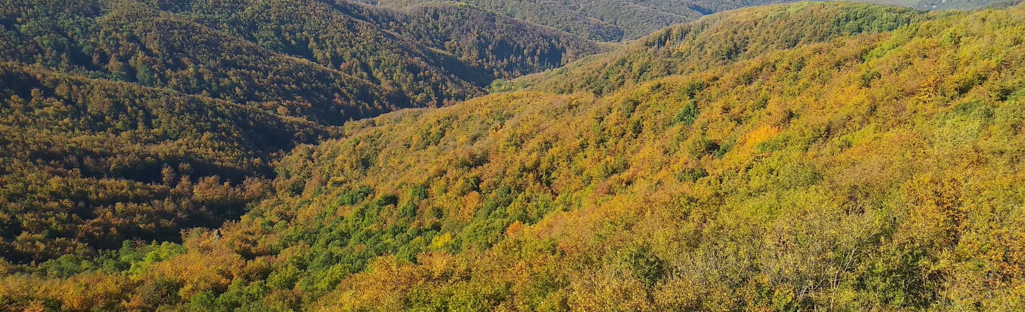 Circular hike Diósjenő - Foltán Cross: 4 Reviews, Map - Pest, Hungary ...