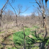 Perry Lake Hiking Trail, Kansas - 117 Reviews, Map | AllTrails