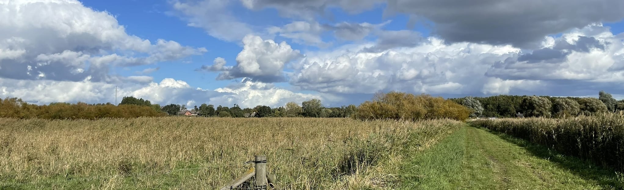 Vallensbæk Mose Rundt: 19 Reviews, Map - Capital Region of Denmark ...