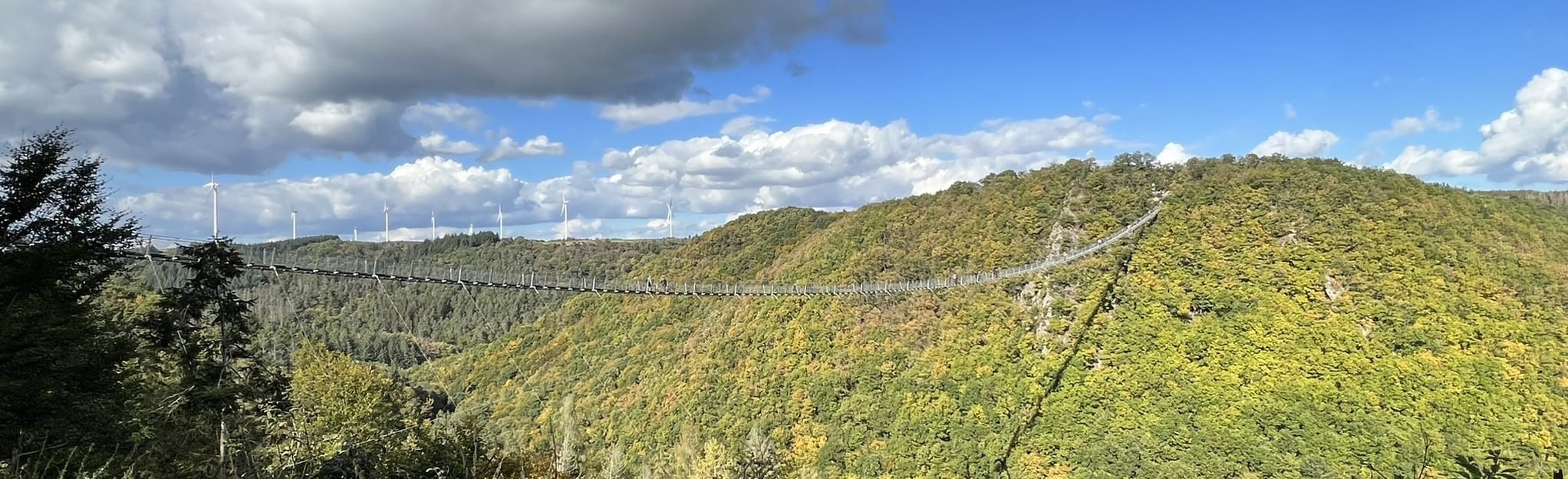 Premium Hiking Trail: Geierlay Circular Route: 206 Reviews, Map ...