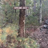 Tippling Rock and Fords Folly, Massachusetts - 629 Reviews, Map | AllTrails