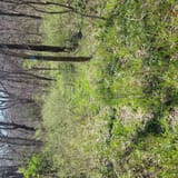 Perry Lake Hiking Trail, Kansas - 117 Reviews, Map | AllTrails