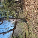 Perry Lake Hiking Trail, Kansas - 117 Reviews, Map | AllTrails