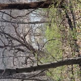 Perry Lake Hiking Trail, Kansas - 117 Reviews, Map | AllTrails