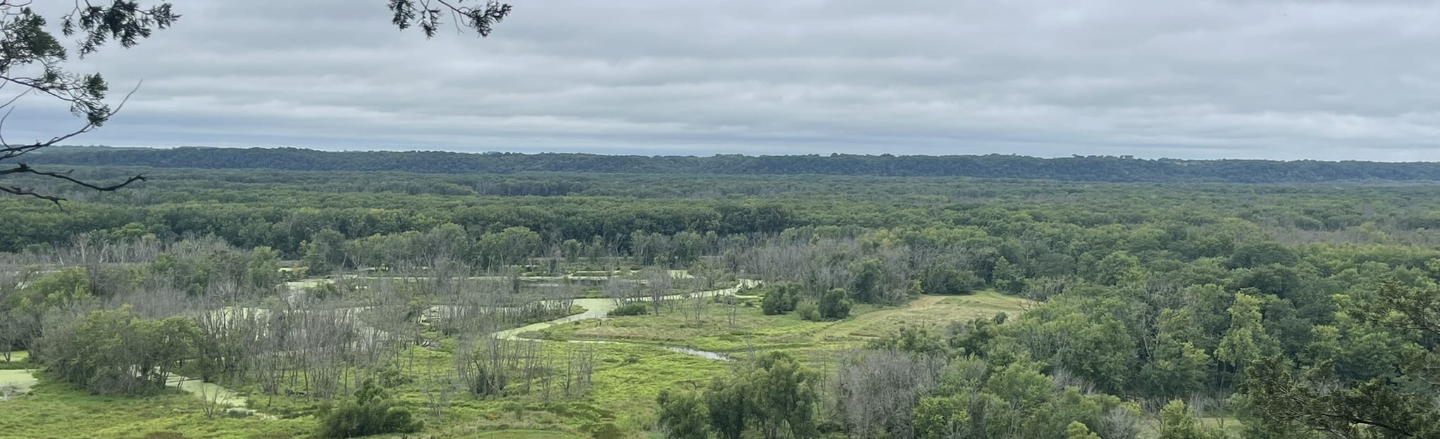 High Point Trail and Rock Top: 119 Reviews, Map - Illinois | AllTrails