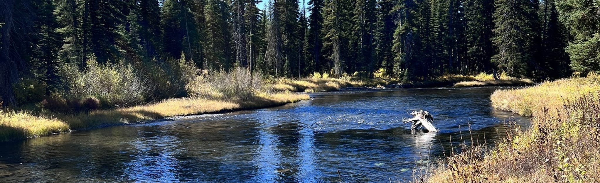 Union Falls Trail, Wyoming - 56 Reviews, Map | AllTrails