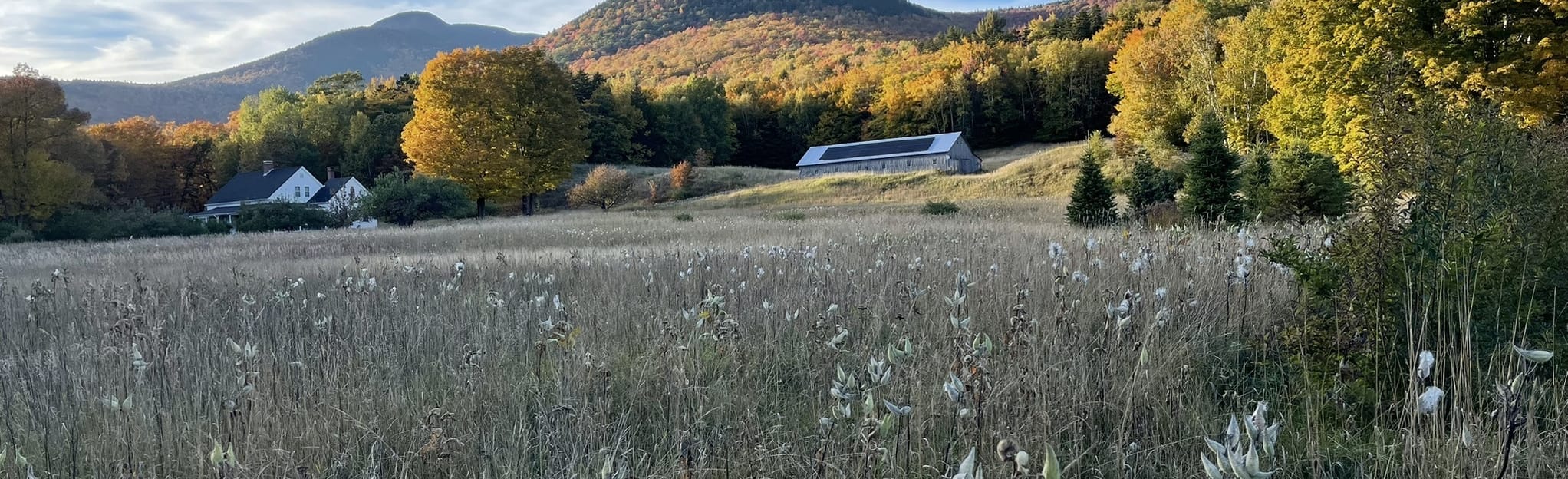 Mount Passaconaway via Dicey's Mill Trail: 536 Reviews, Map - New ...