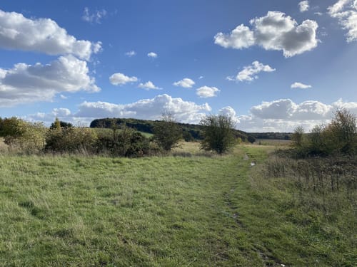 Best Hikes and Trails in Thrybergh Country Park | AllTrails