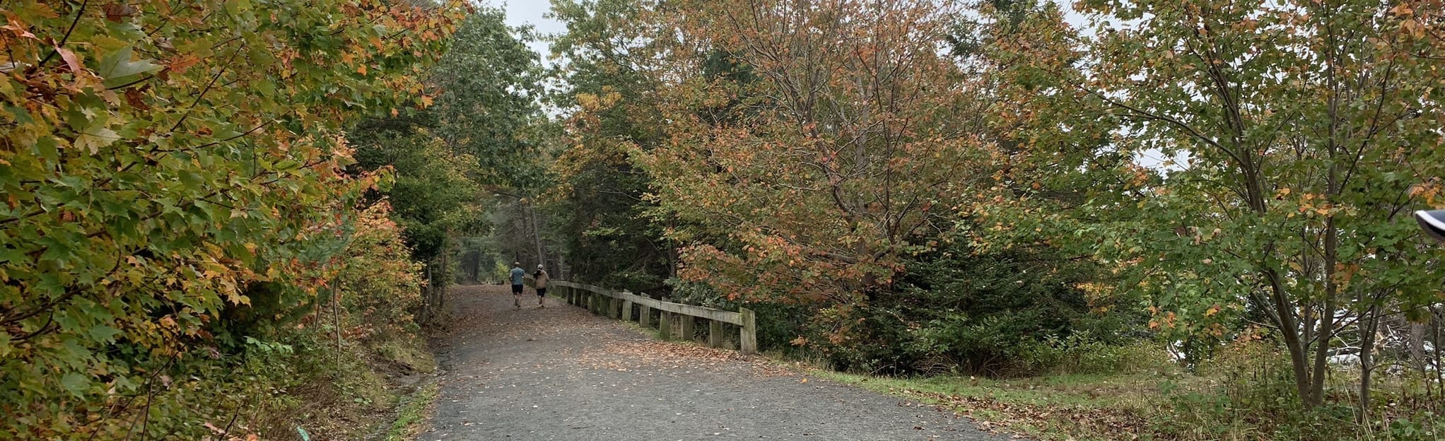 Point Pleasant Park Loop - Nova Scotia, Canada | AllTrails