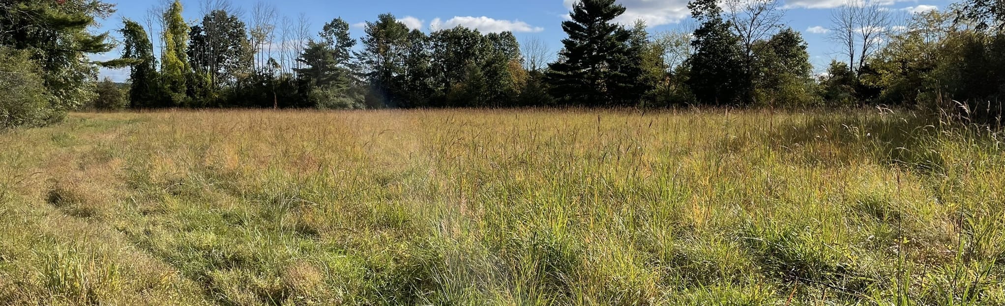 Mink Trail, Pennsylvania - 498 Reviews, Map | AllTrails