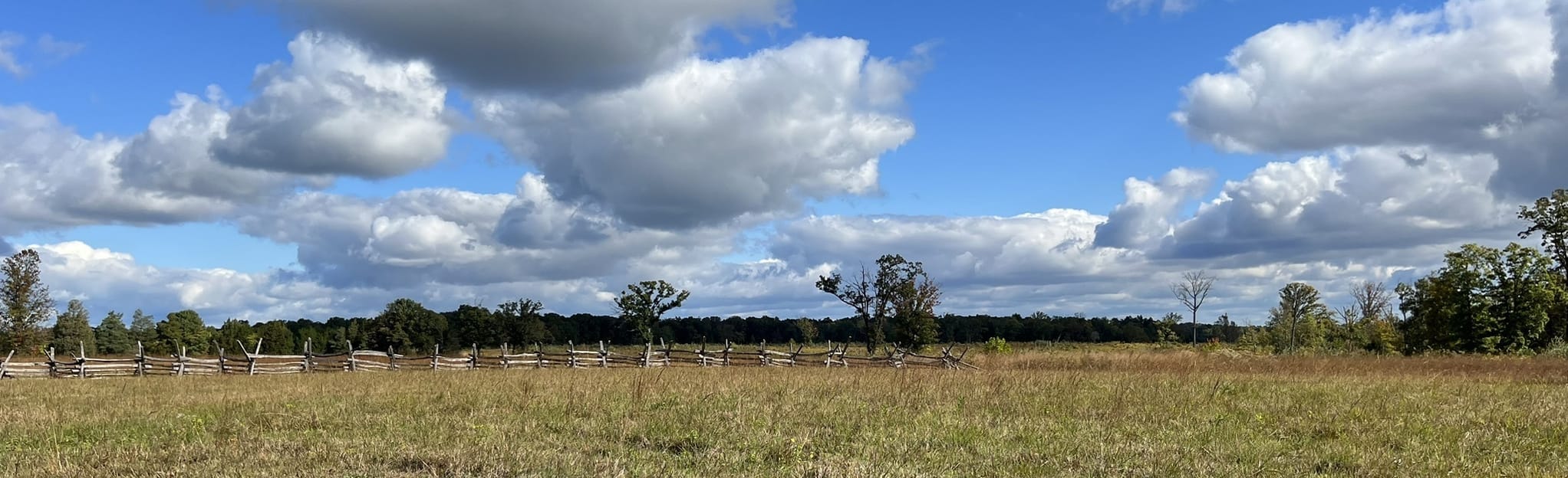 Brawner Farm Loop: 97 Reviews, Map - Virginia | AllTrails