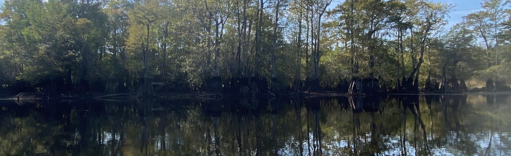 Ebenezer Creek Paddling Route: Long Bridge Road to Savannah River: 41 ...