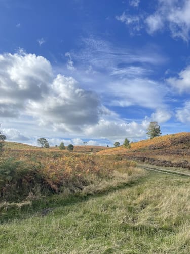 10 Best Hikes and Trails in Cannock Chase Area of Outstanding Natural ...