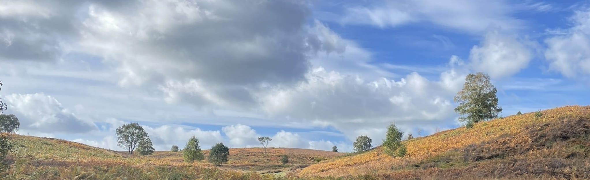 Sherbrook Valley and Cannock Chase Circular - Staffordshire, England ...