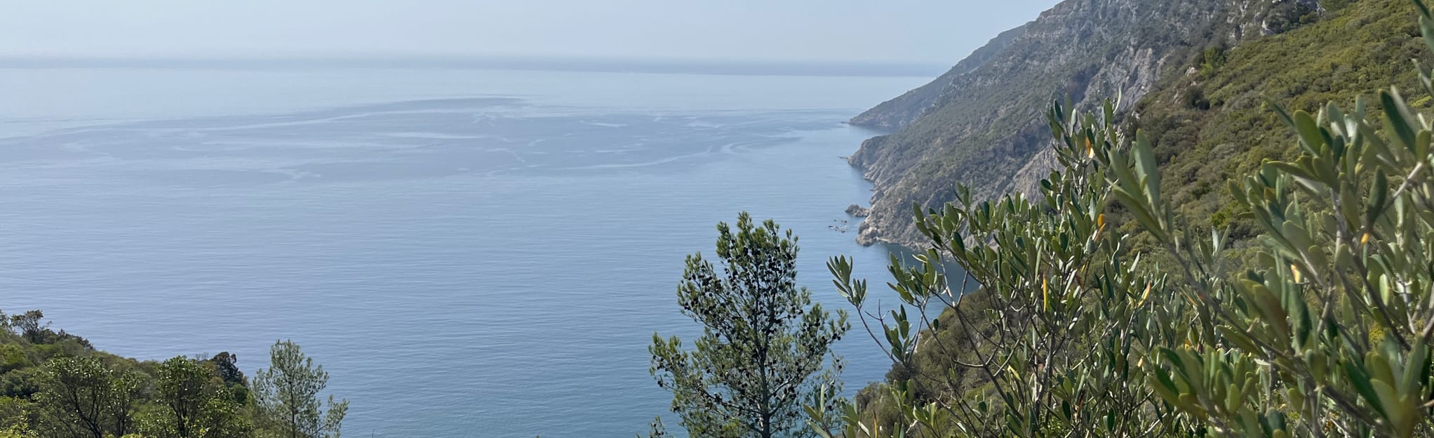 Serra do Risco e Trilho da Falésia (Serra da Arrábida): 10 Reviews, Map ...