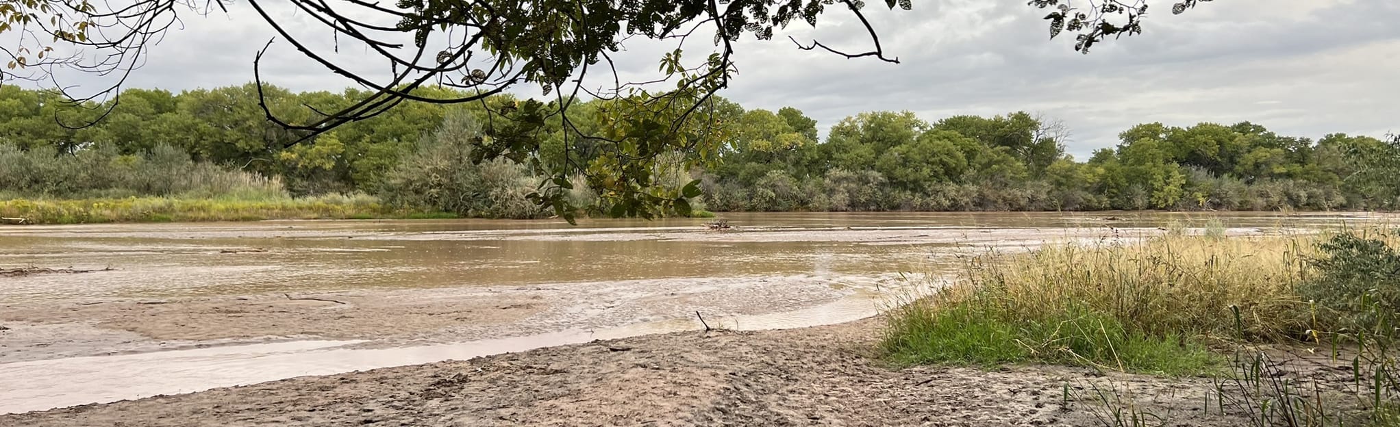 Paseo Del Bosque and Riverside Trail Loop: 155 Reviews, Map - New ...