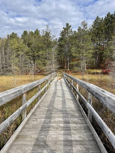 Best Hikes and Trails in Copper Country State Forest | AllTrails